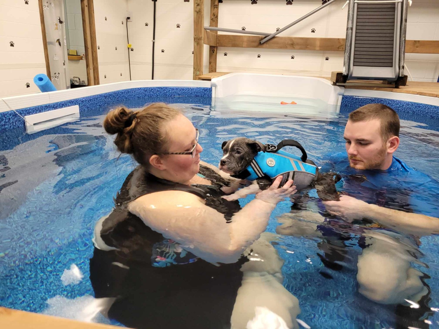Puddle Paws Hydrotherapy: Helping Furry Friends Get Better One Paw at a ...